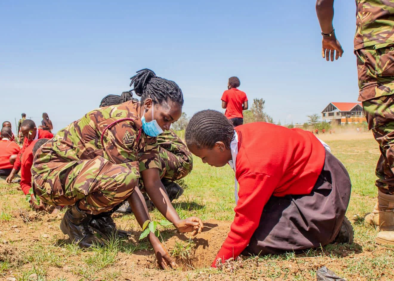 Trees Challenge 2022 — International Tree Foundation