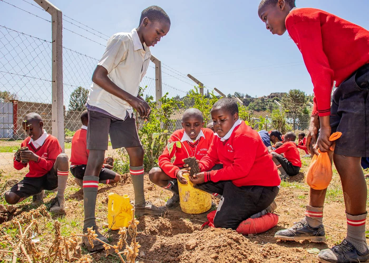 Trees Challenge 2022 — International Tree Foundation