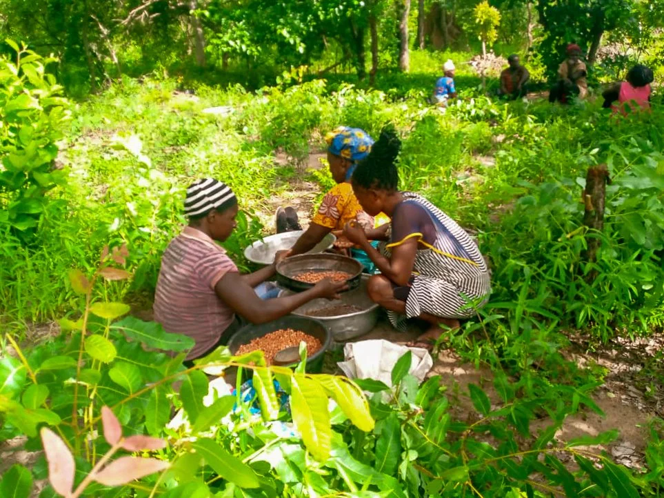 Project Update: Restoring Ghana’s Black Volta Basin Ecosystem ...