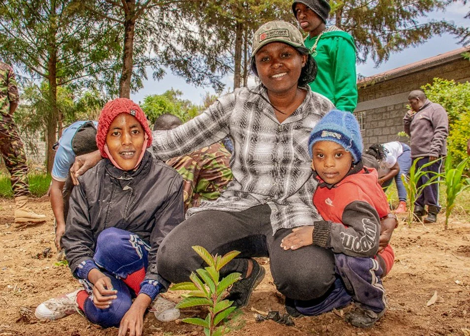 Adopt a tree — International Tree Foundation