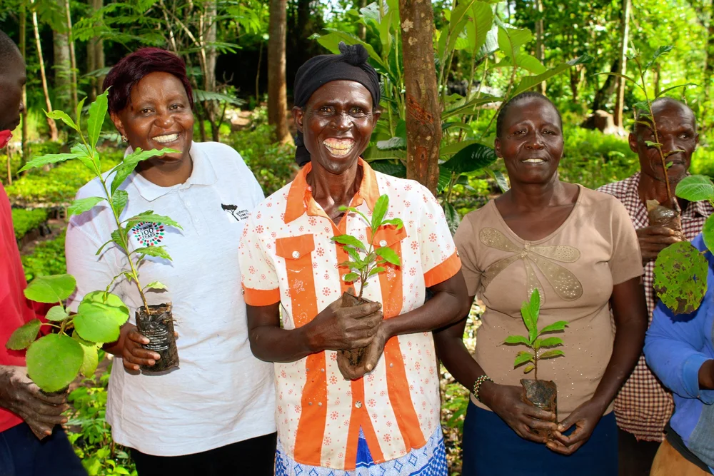 Restoring the wetlands in Saiwa Swamp National Park — International ...