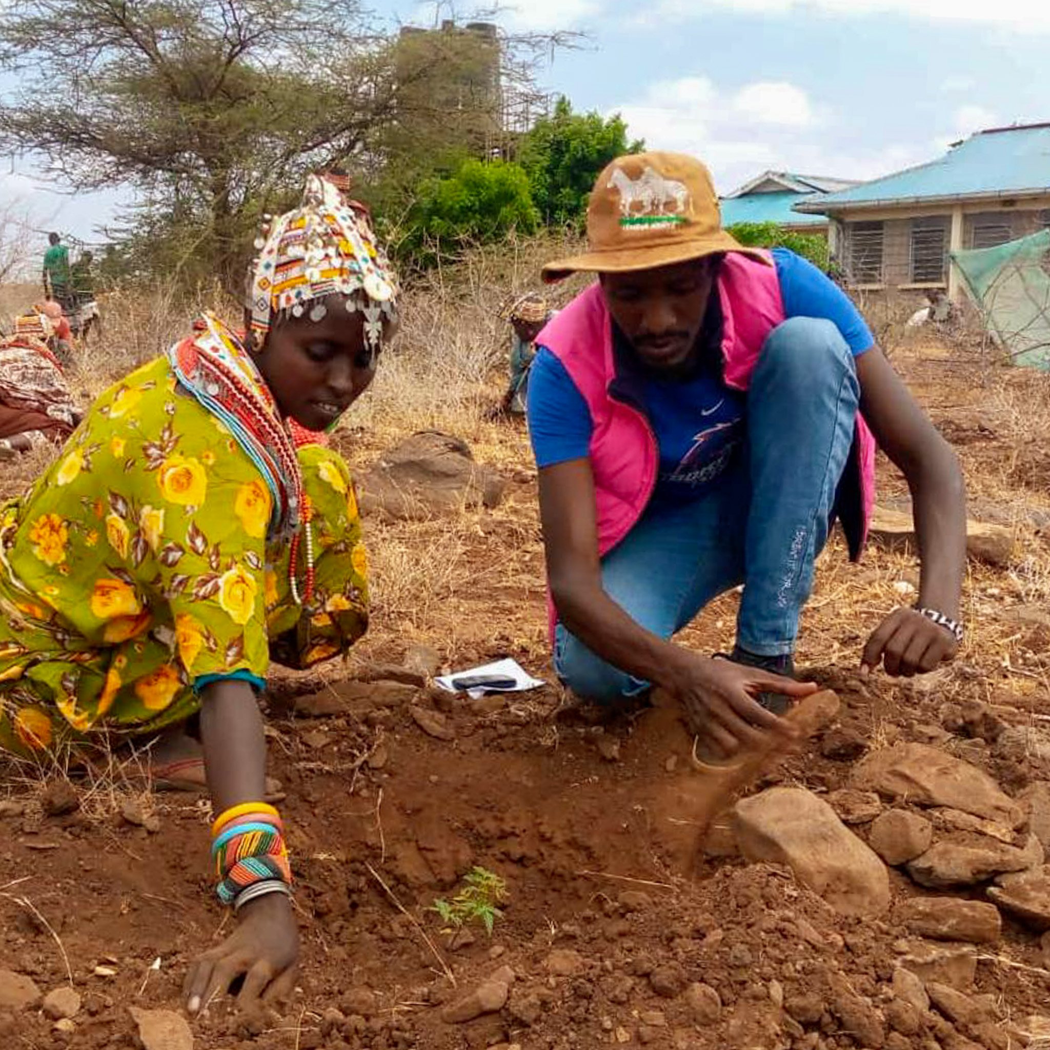 Planting trees for climate change resilience — International Tree ...