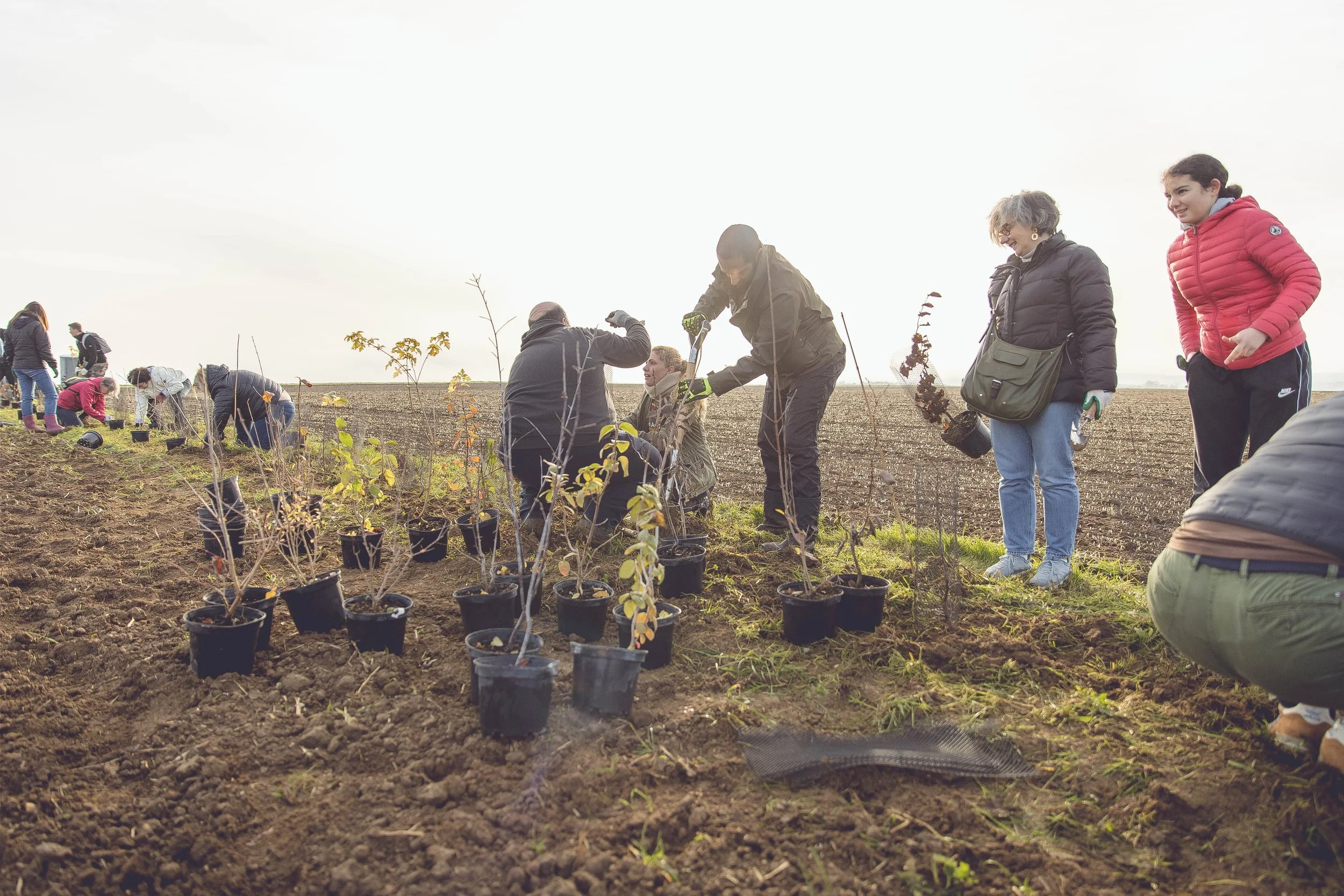 Tree Planting in France — International Tree Foundation