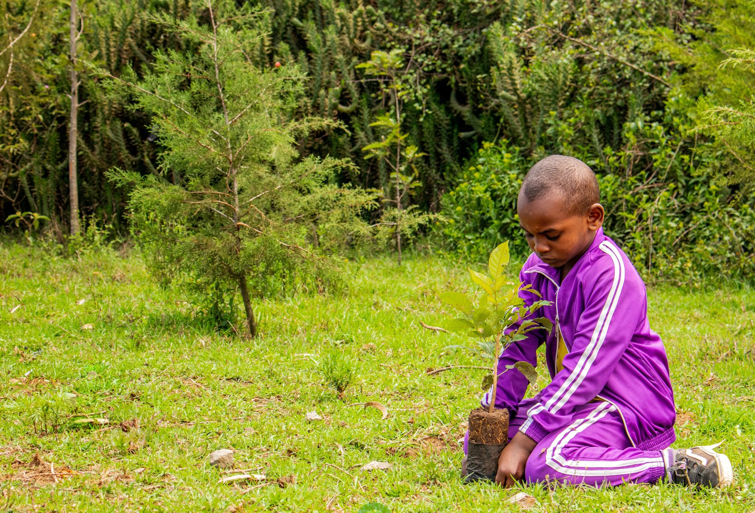 Youth led restoration of Kenya’s drylands — International Tree Foundation