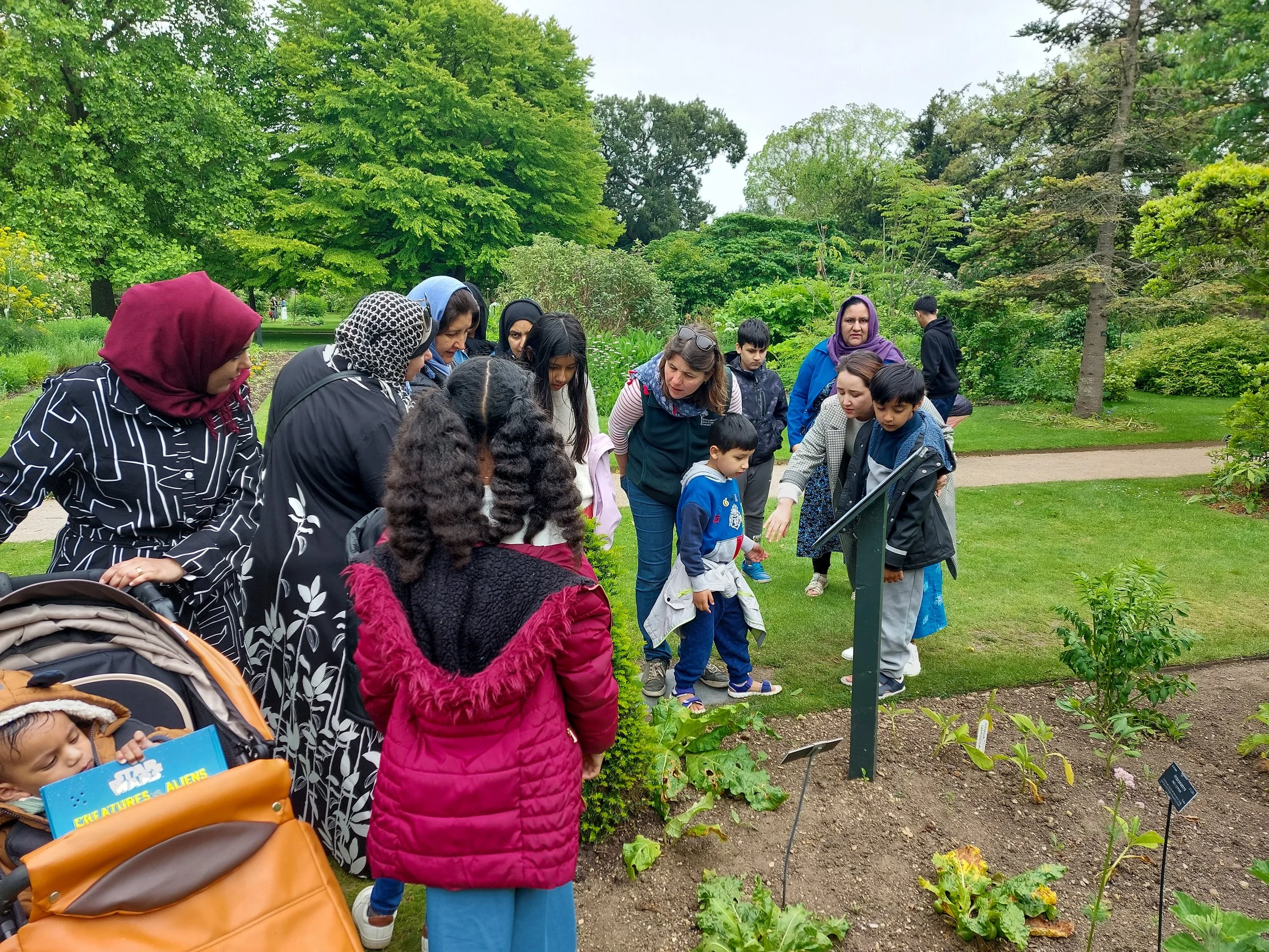 Healing in the outdoors — International Tree Foundation