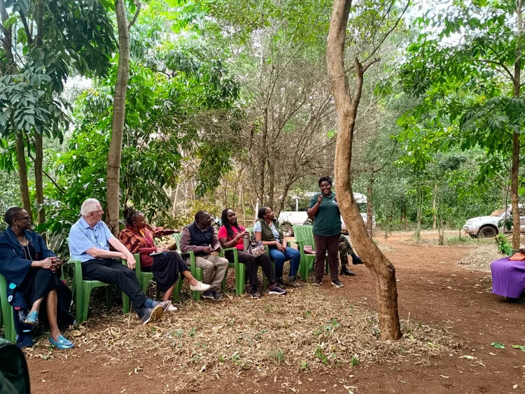 Africa Climate Summit 2023 — International Tree Foundation