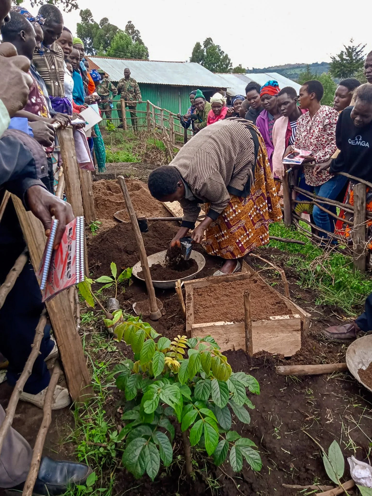 Planting trees for resilience in West Pokot, Kenya — International Tree ...