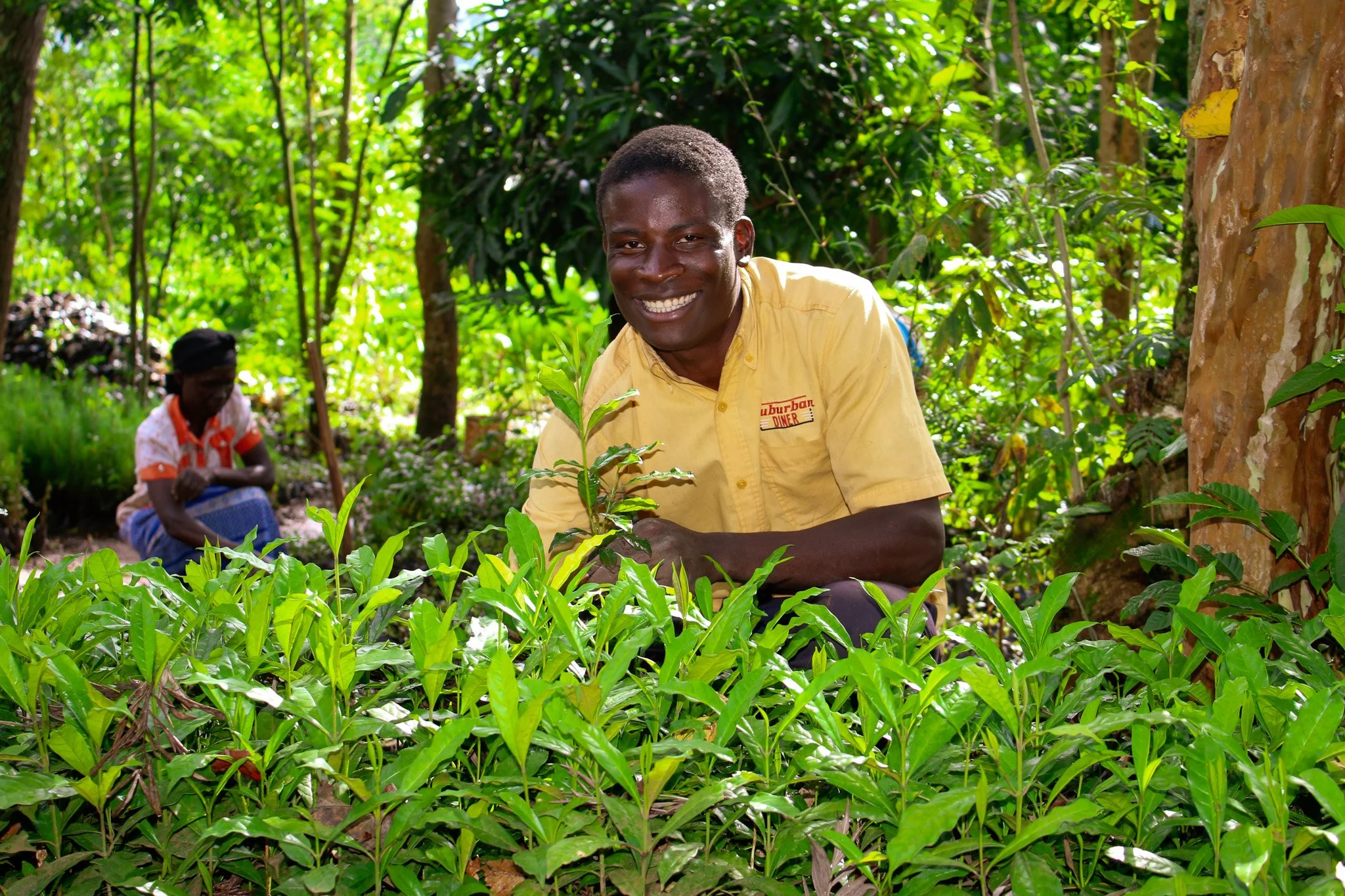 Restoring the wetlands in Saiwa Swamp National Park — International ...