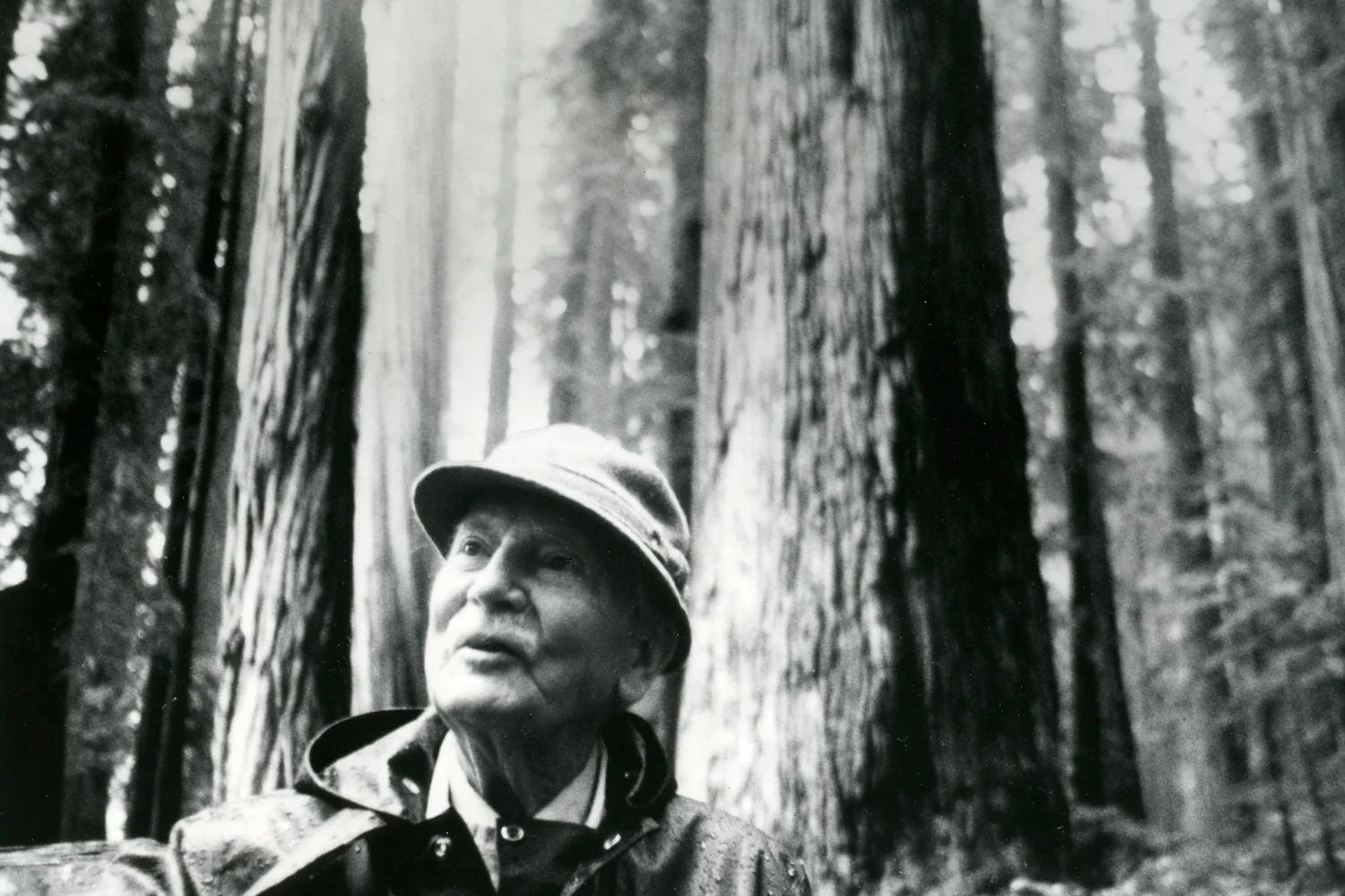 Who inspires me? — International Tree Foundation