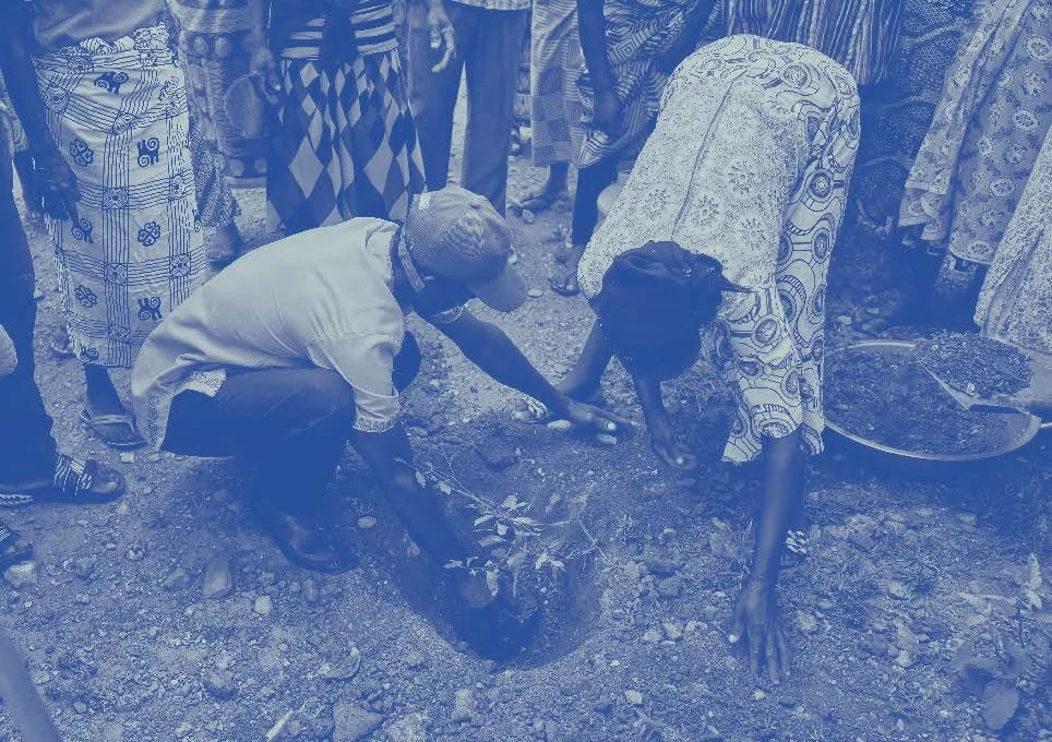 About — International Tree Foundation