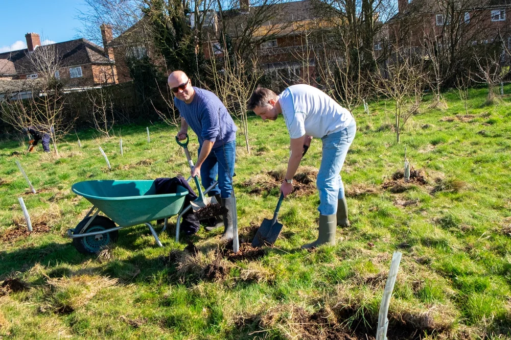 Our work — International Tree Foundation