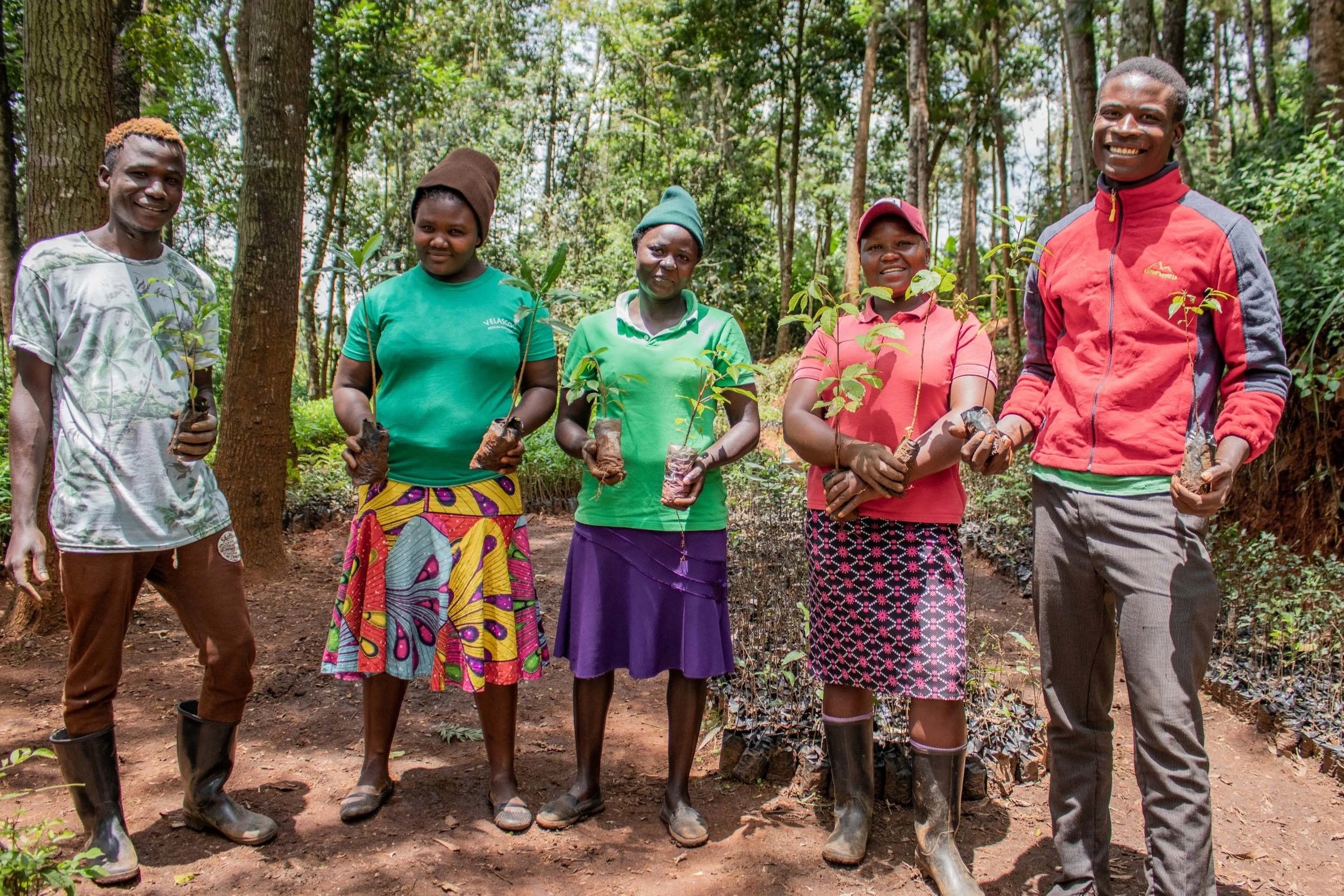 International Tree Foundation