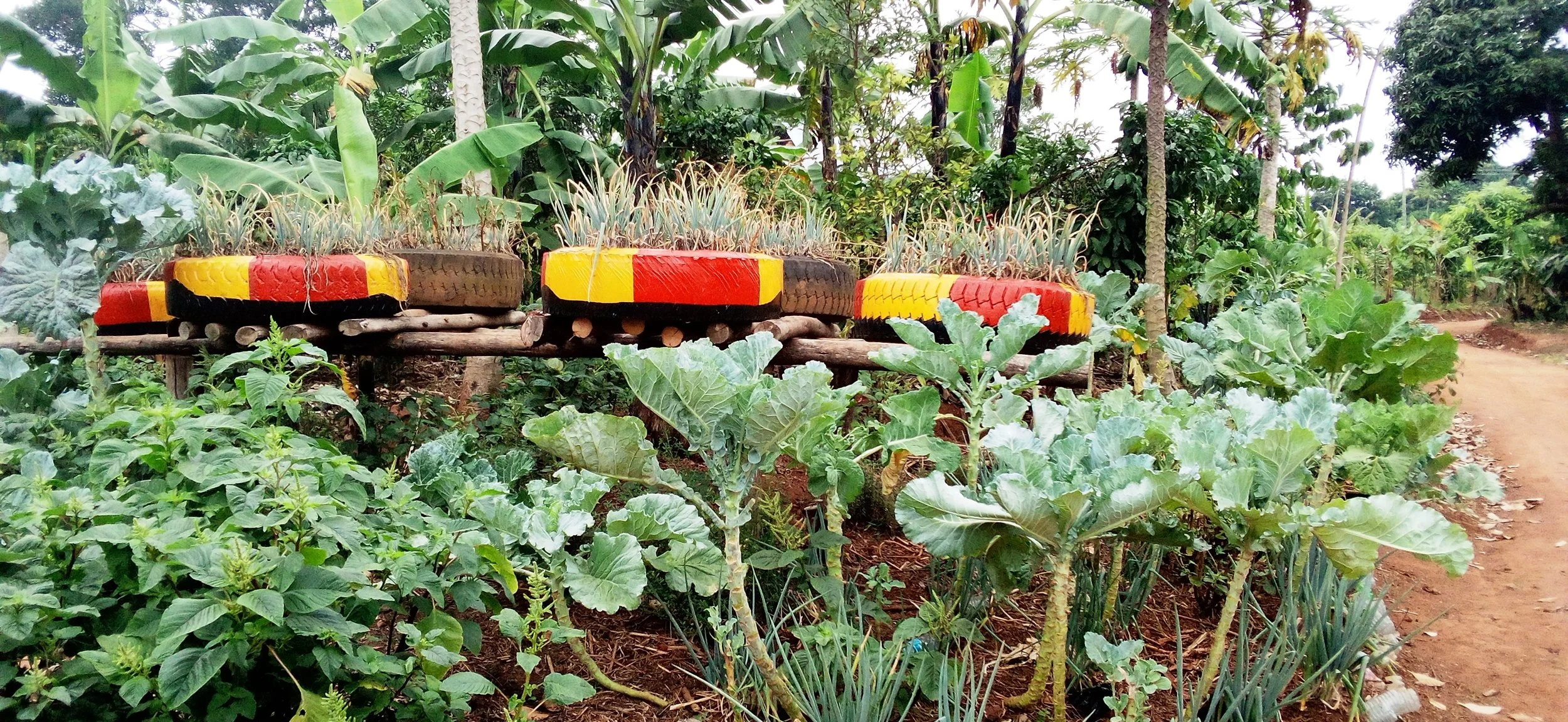 Uganda’s green agents of change — International Tree Foundation