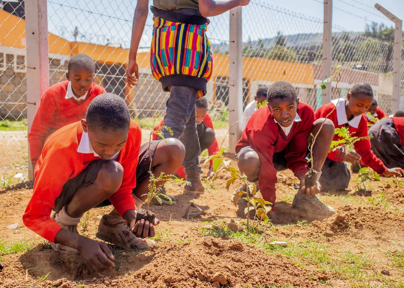 Trees Challenge 2022 — International Tree Foundation
