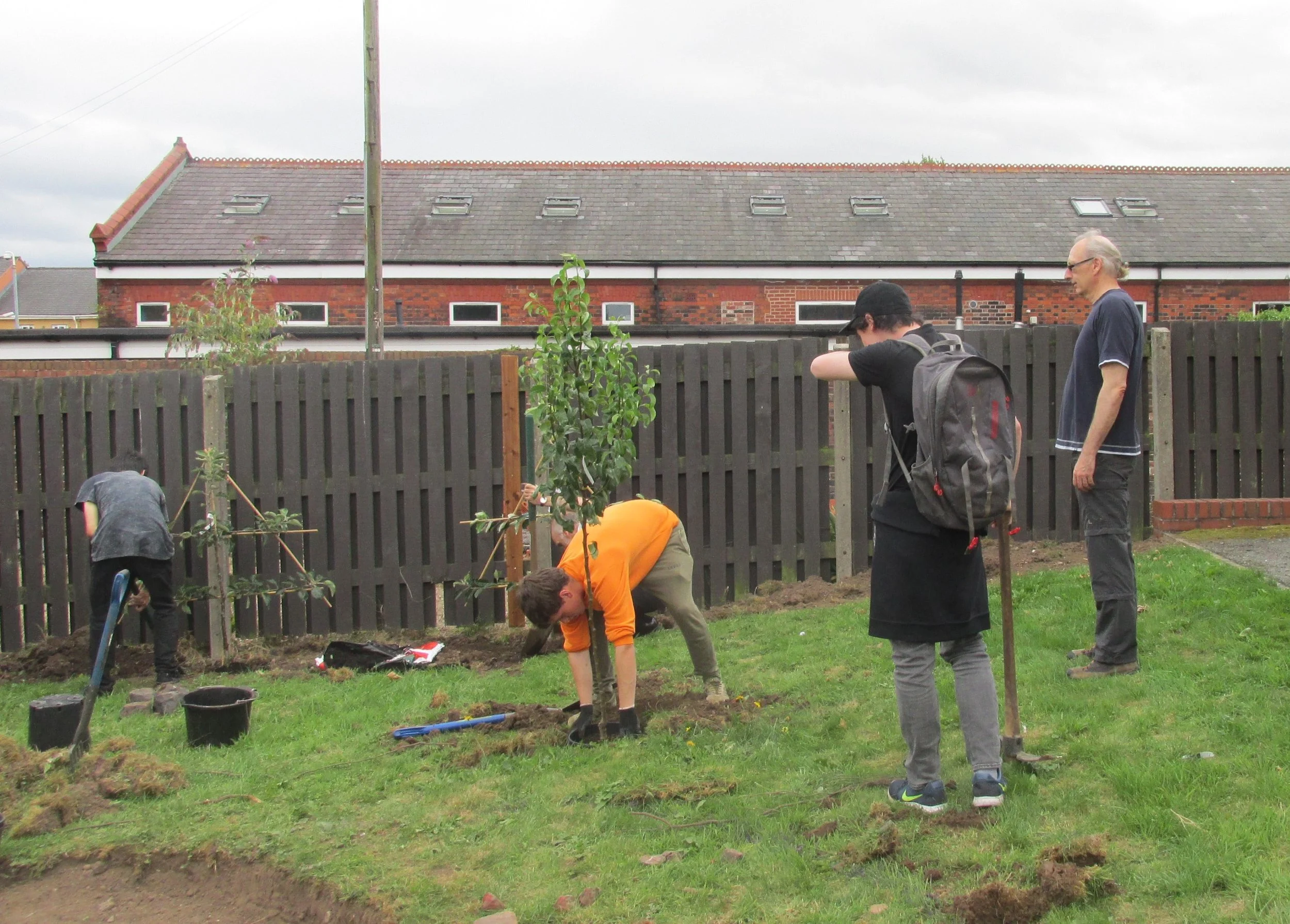 A fruit-full three years — International Tree Foundation