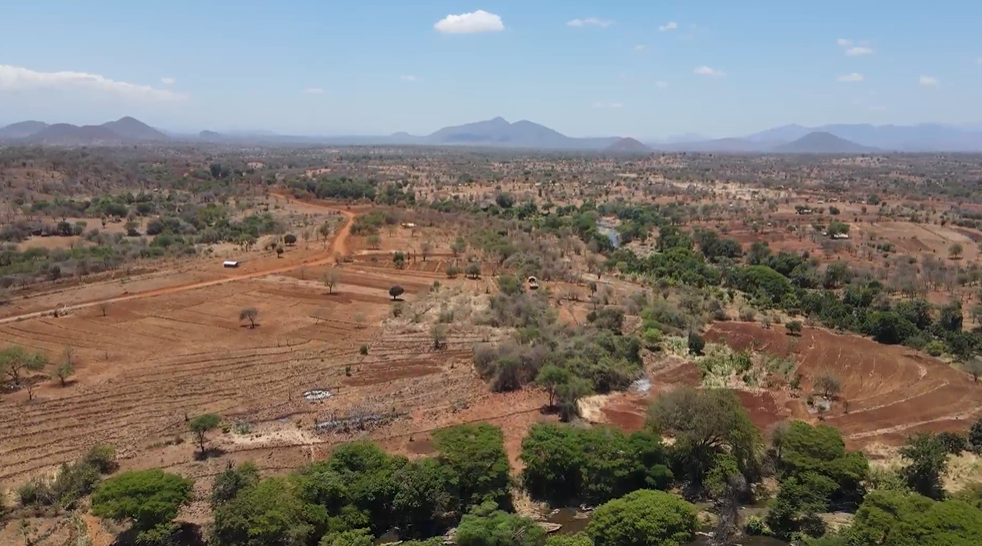 Kenya — International Tree Foundation