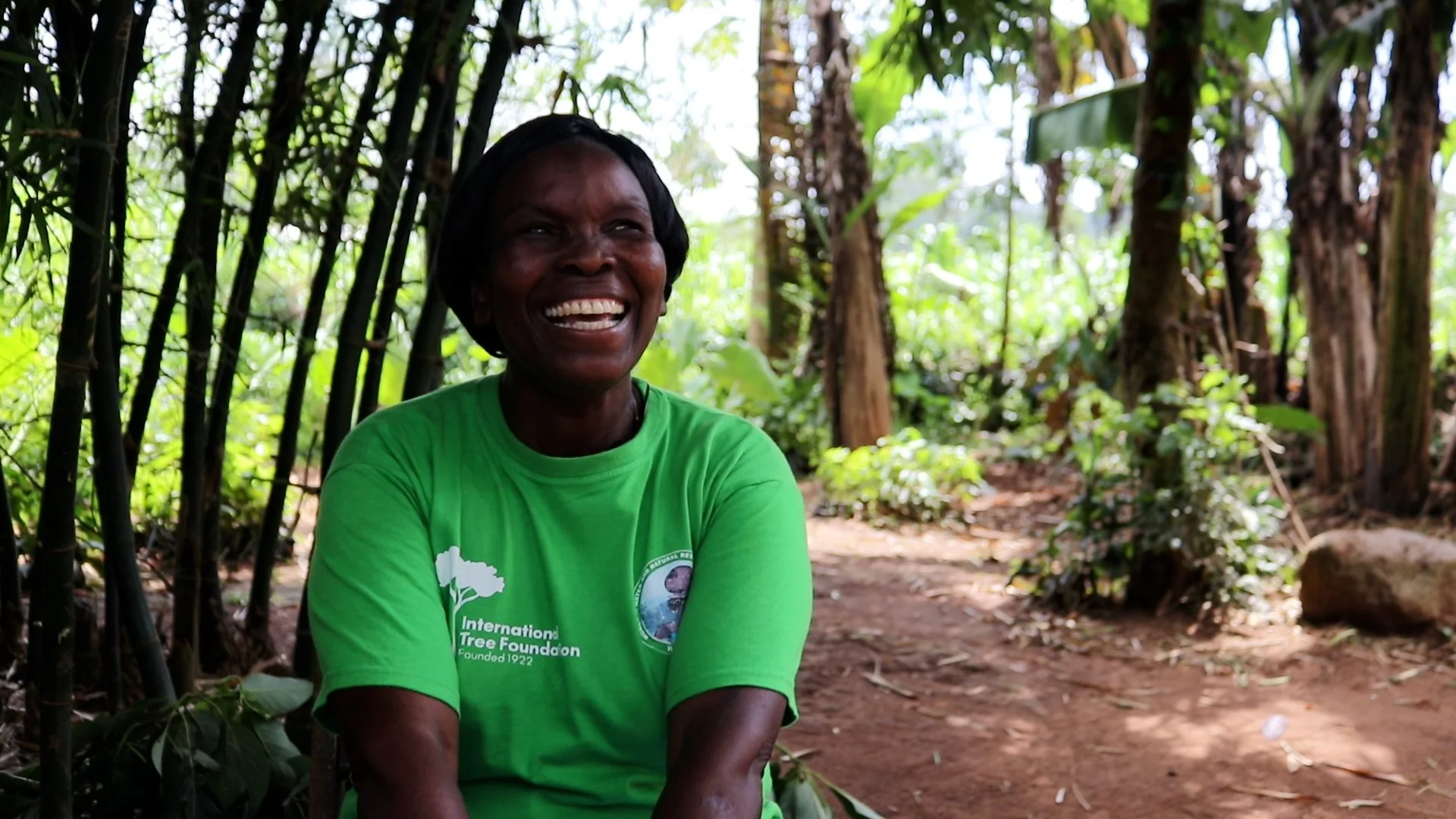 International Tree Foundation