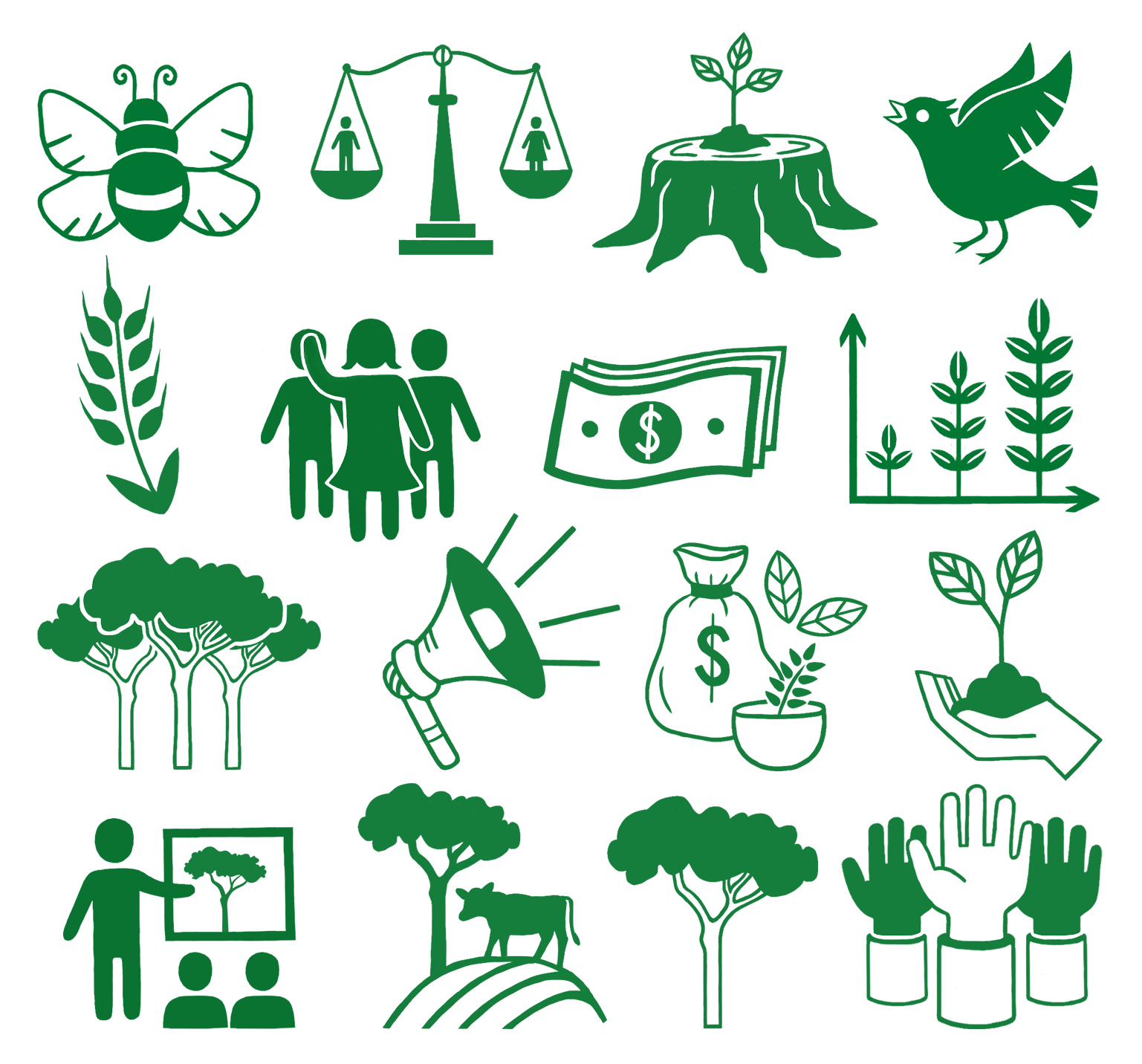 Natasha’s Volunteering Journey — International Tree Foundation