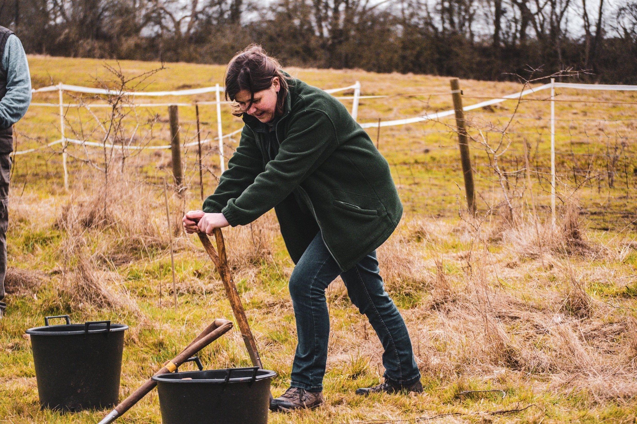 Garden tree giveaway — International Tree Foundation