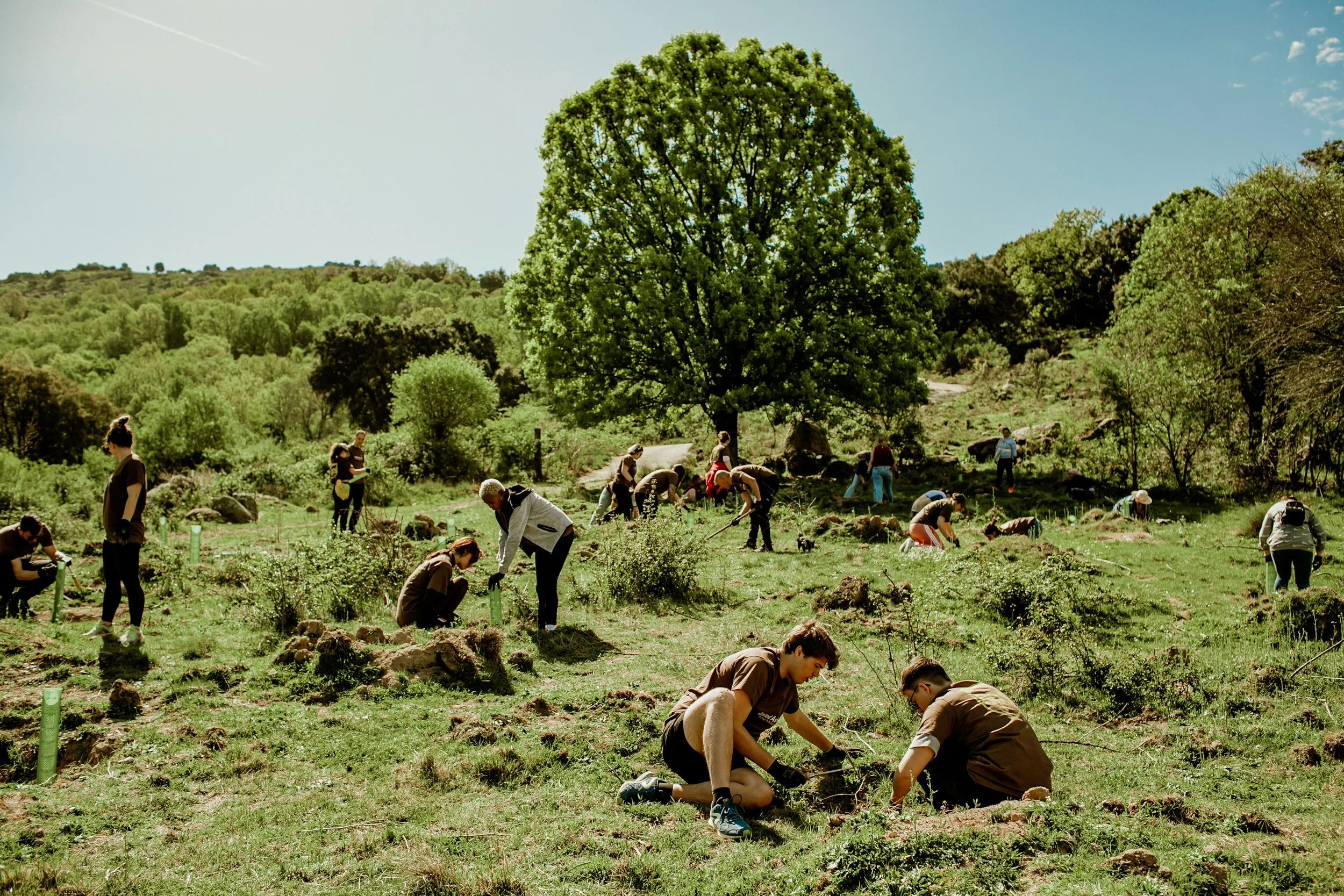 Global programme — International Tree Foundation