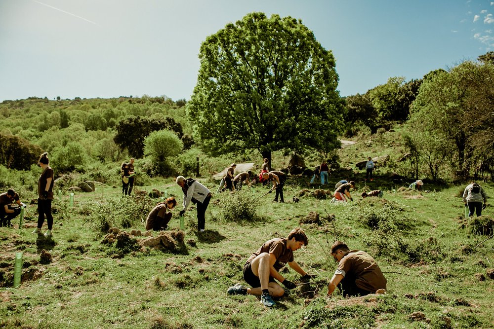 Global programme — International Tree Foundation