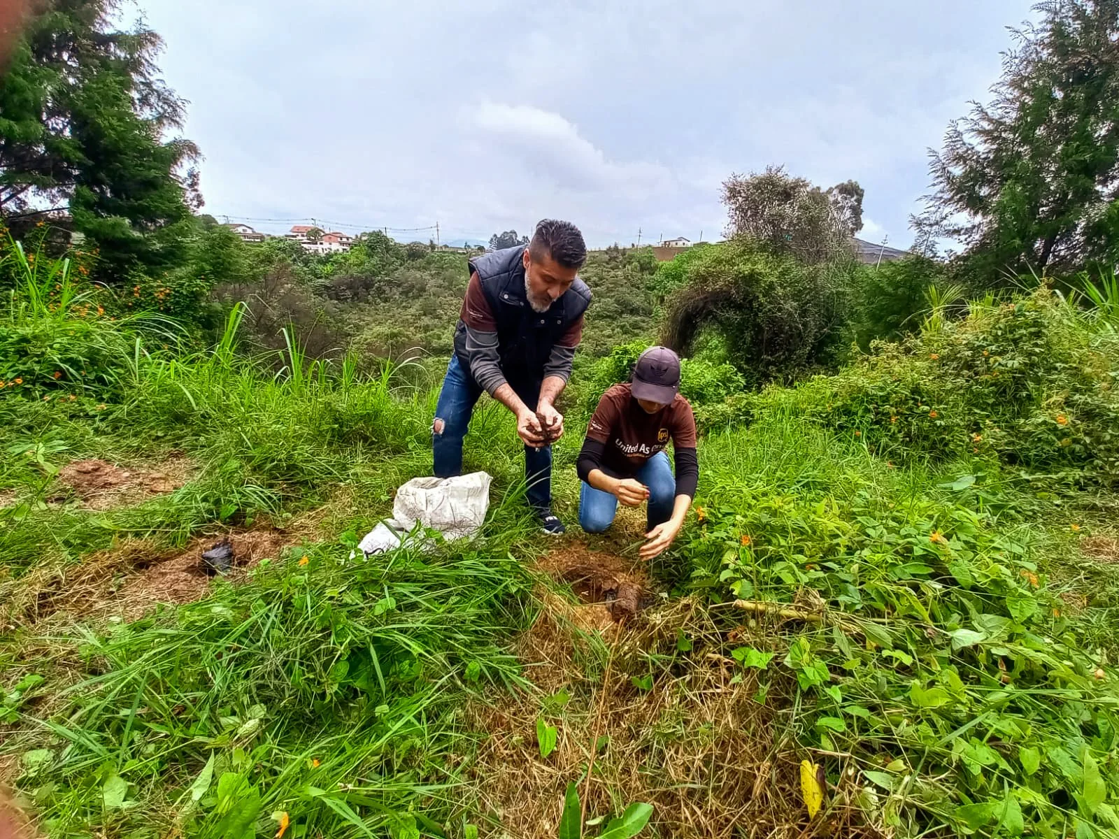 International Tree Foundation