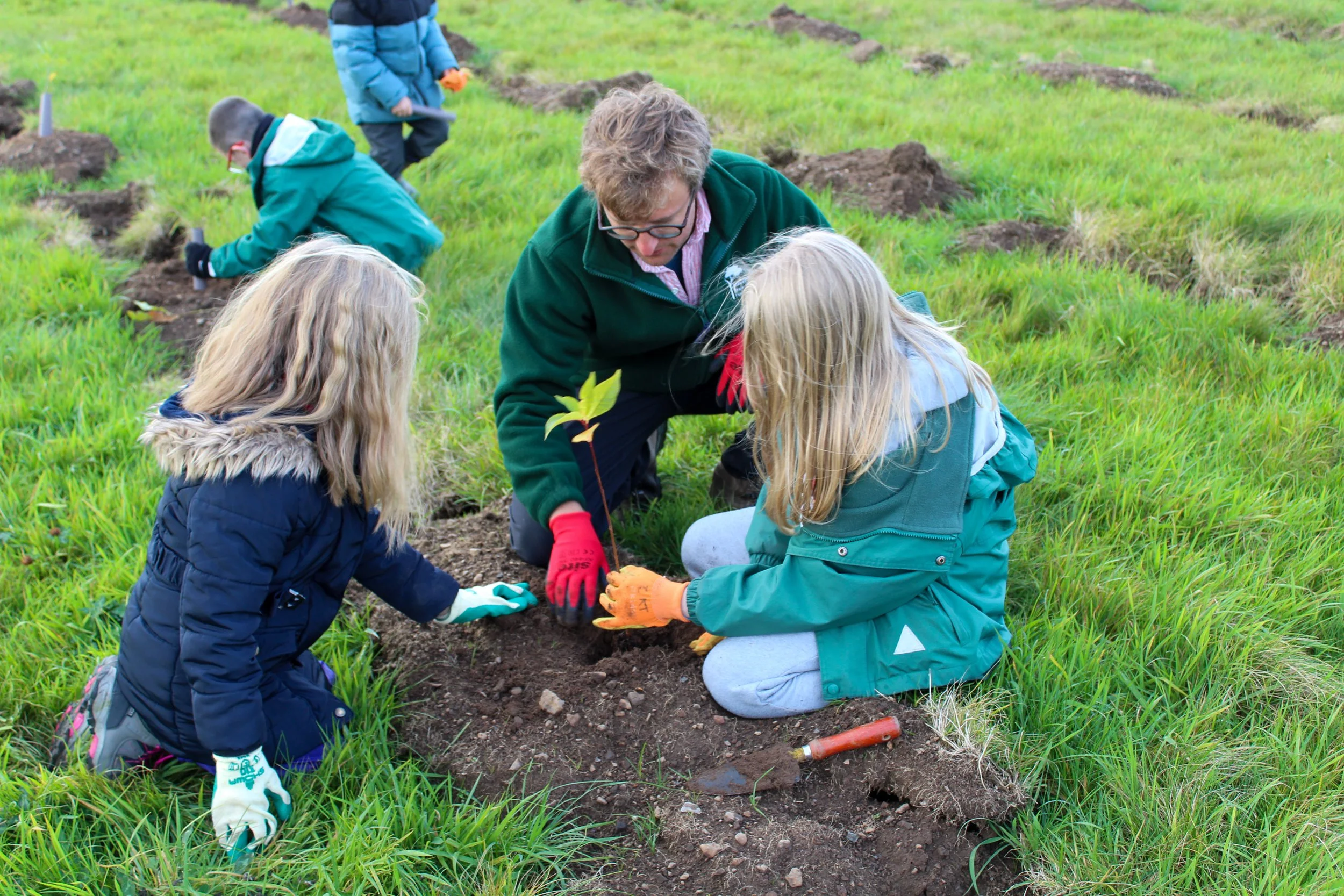 How trees help — International Tree Foundation