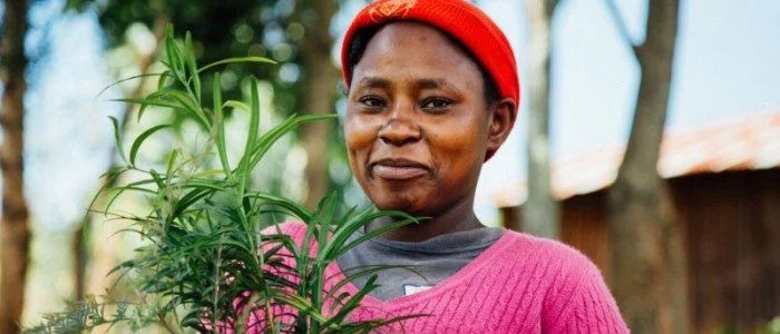 ITF to Launch Biggest-Ever Initiative Next Week - 20M Trees for Kenya's ...