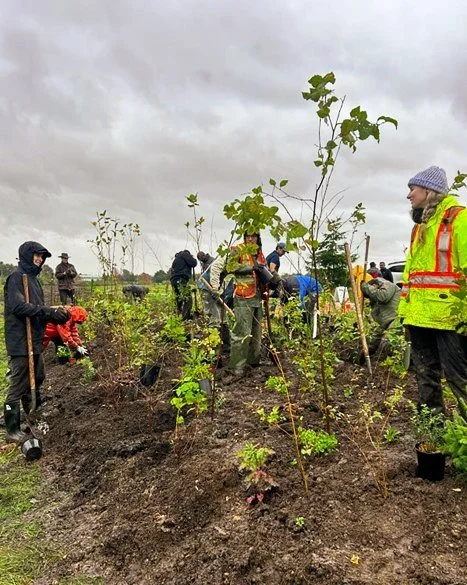 Global programme — International Tree Foundation