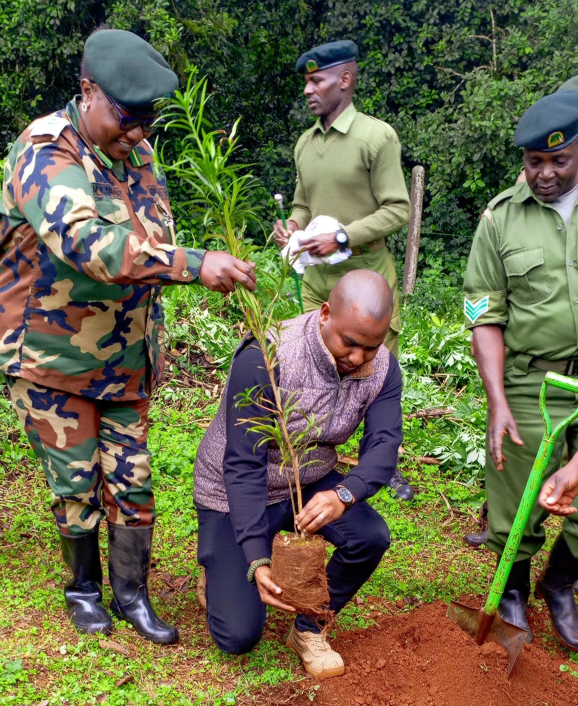 News — International Tree Foundation