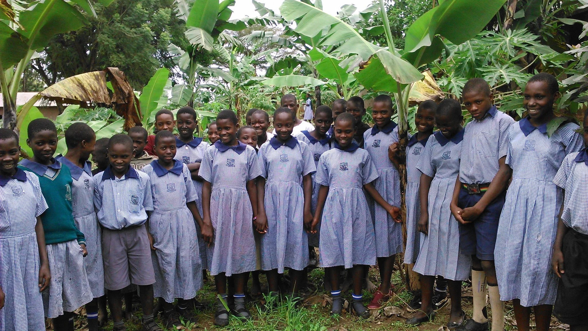 Agroforestry for poverty reduction and improved livelihoods ...