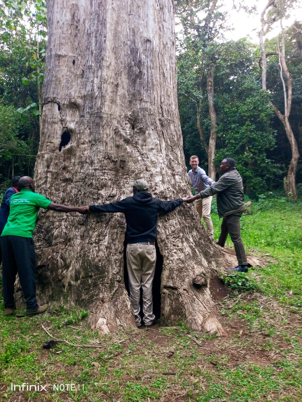 Our strategy — International Tree Foundation