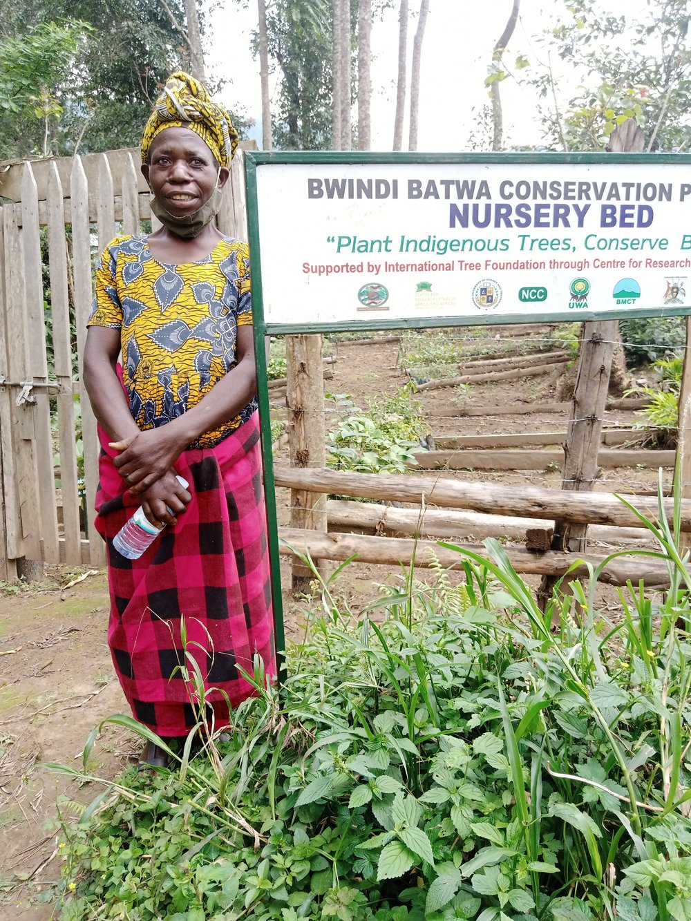 Reforesting Bwindi Impenetrable National Park — International Tree ...