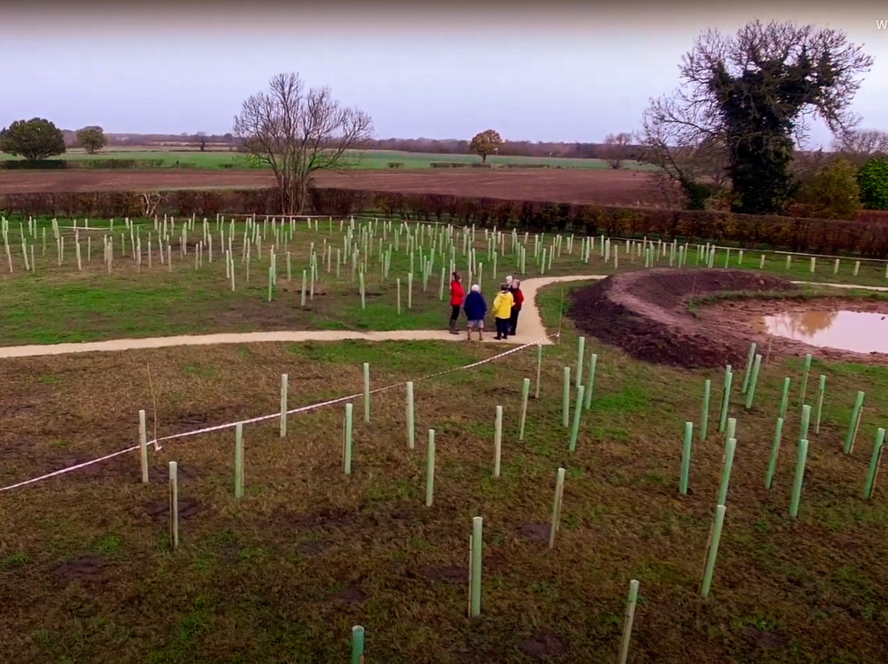 Riccall Woodmeadow — International Tree Foundation