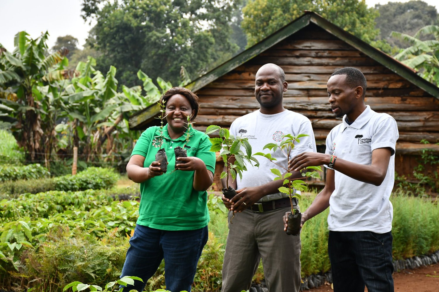 Meet the team — International Tree Foundation