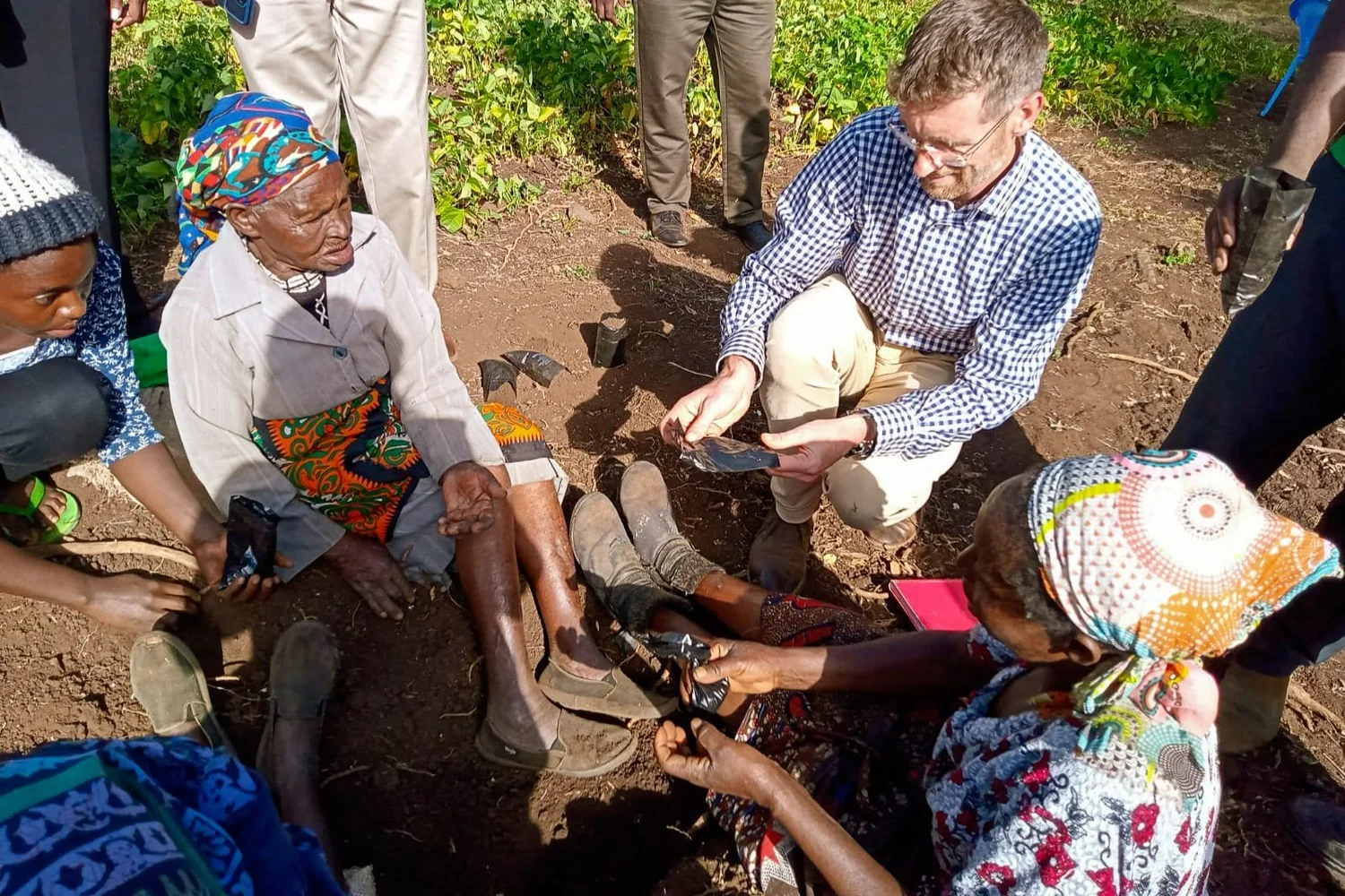 What's the Cost of Planting a Tree? — International Tree Foundation