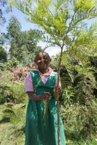 Spotlight: My 20 Trees and Me — International Tree Foundation