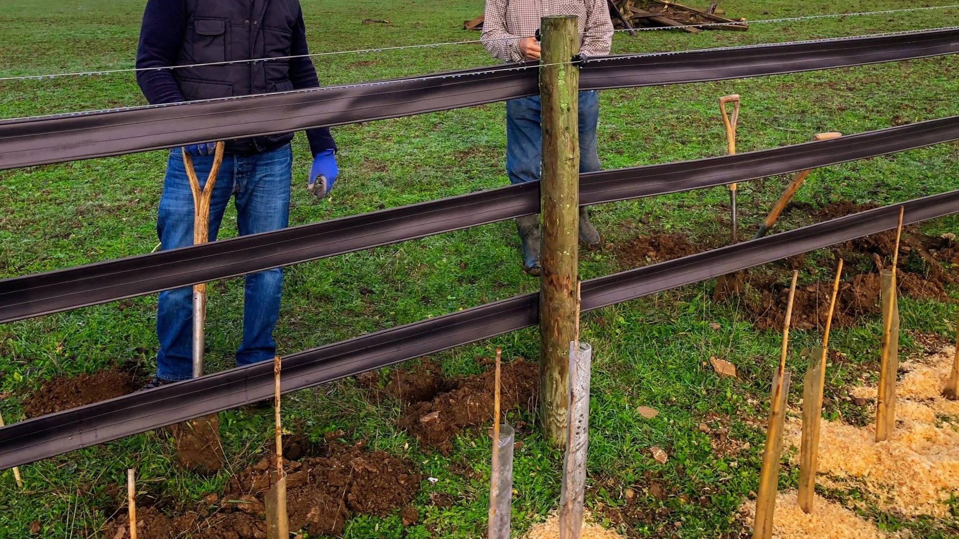 UK Community Tree Planting Grant — International Tree Foundation