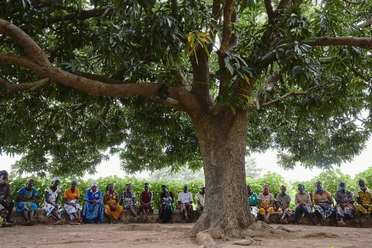 International Tree Foundation