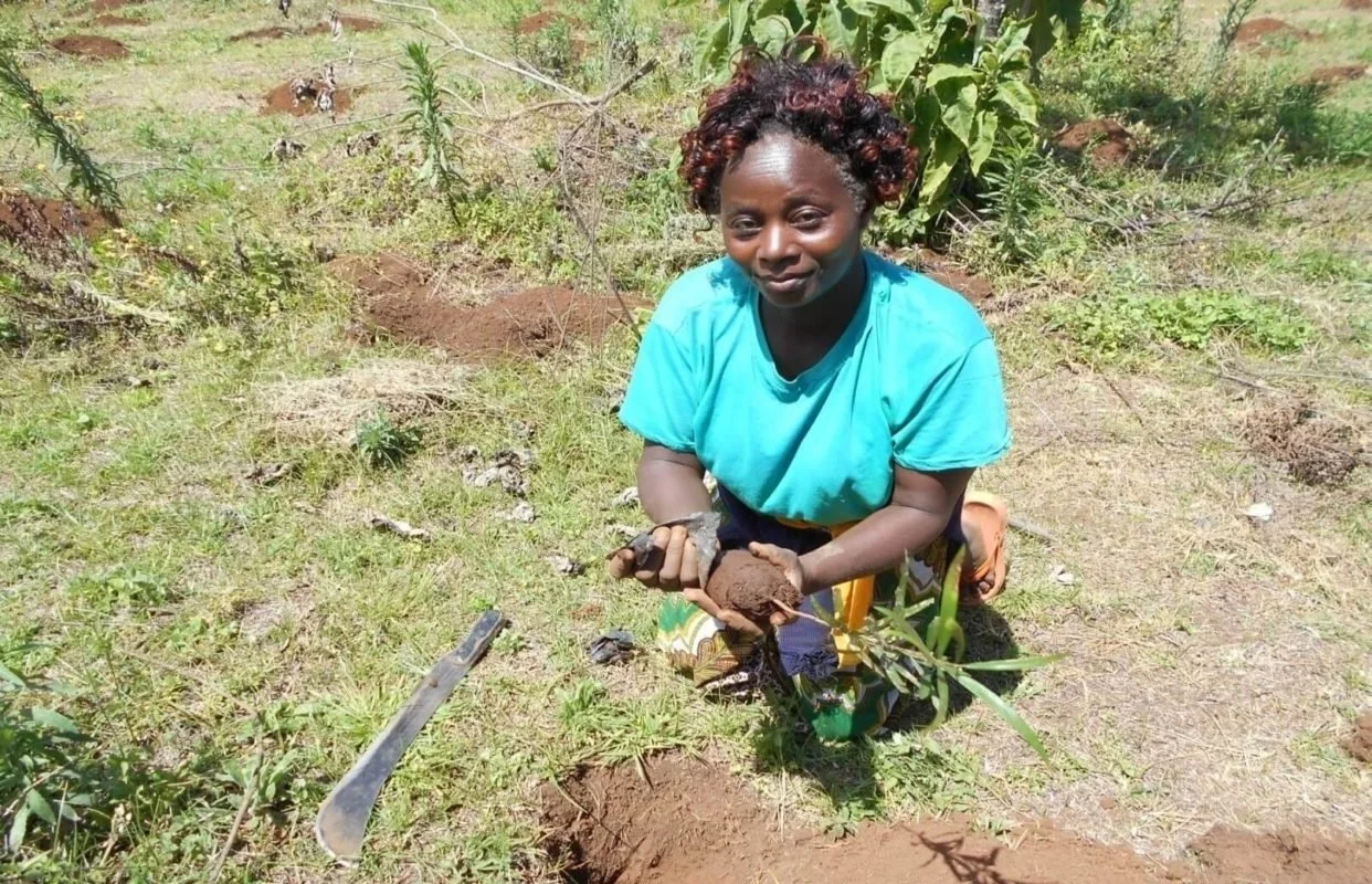 68,500 trees planted in first season of ITF’s 20 Million Trees campaign ...