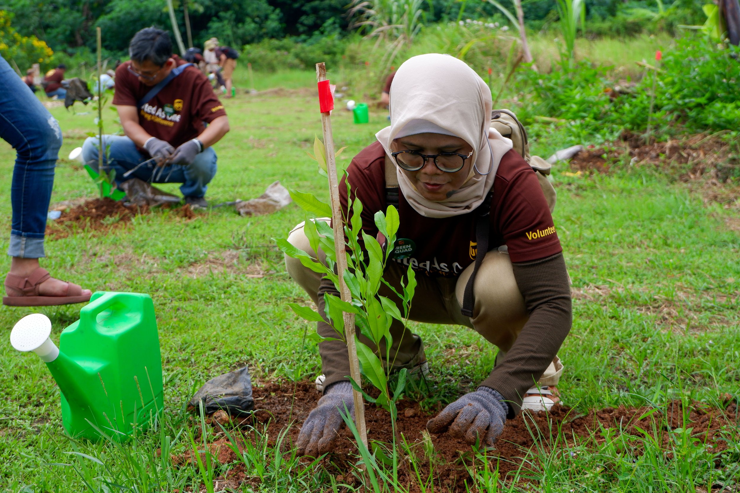 Global programme — International Tree Foundation
