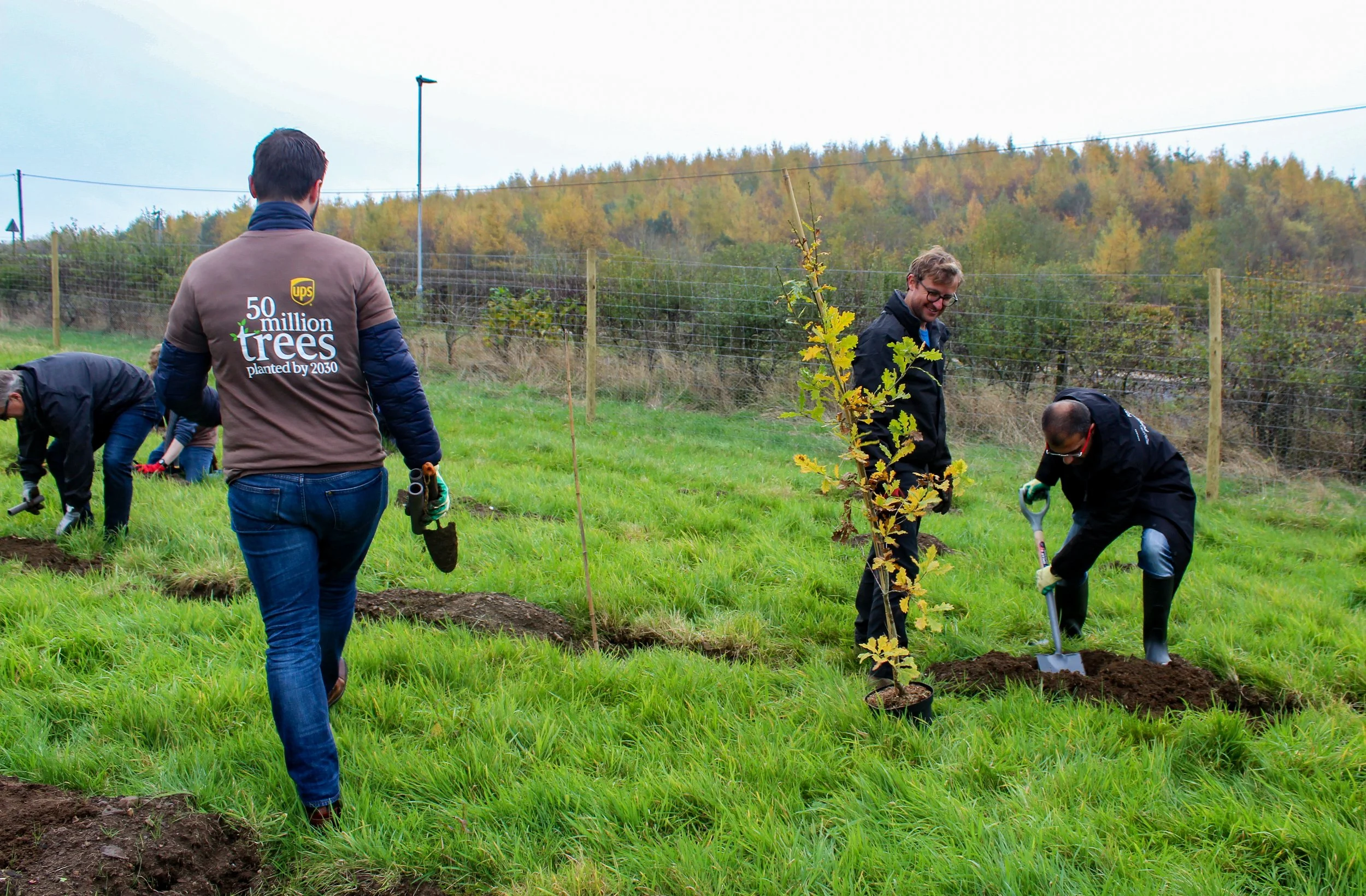 Annual Report and Accounts — International Tree Foundation