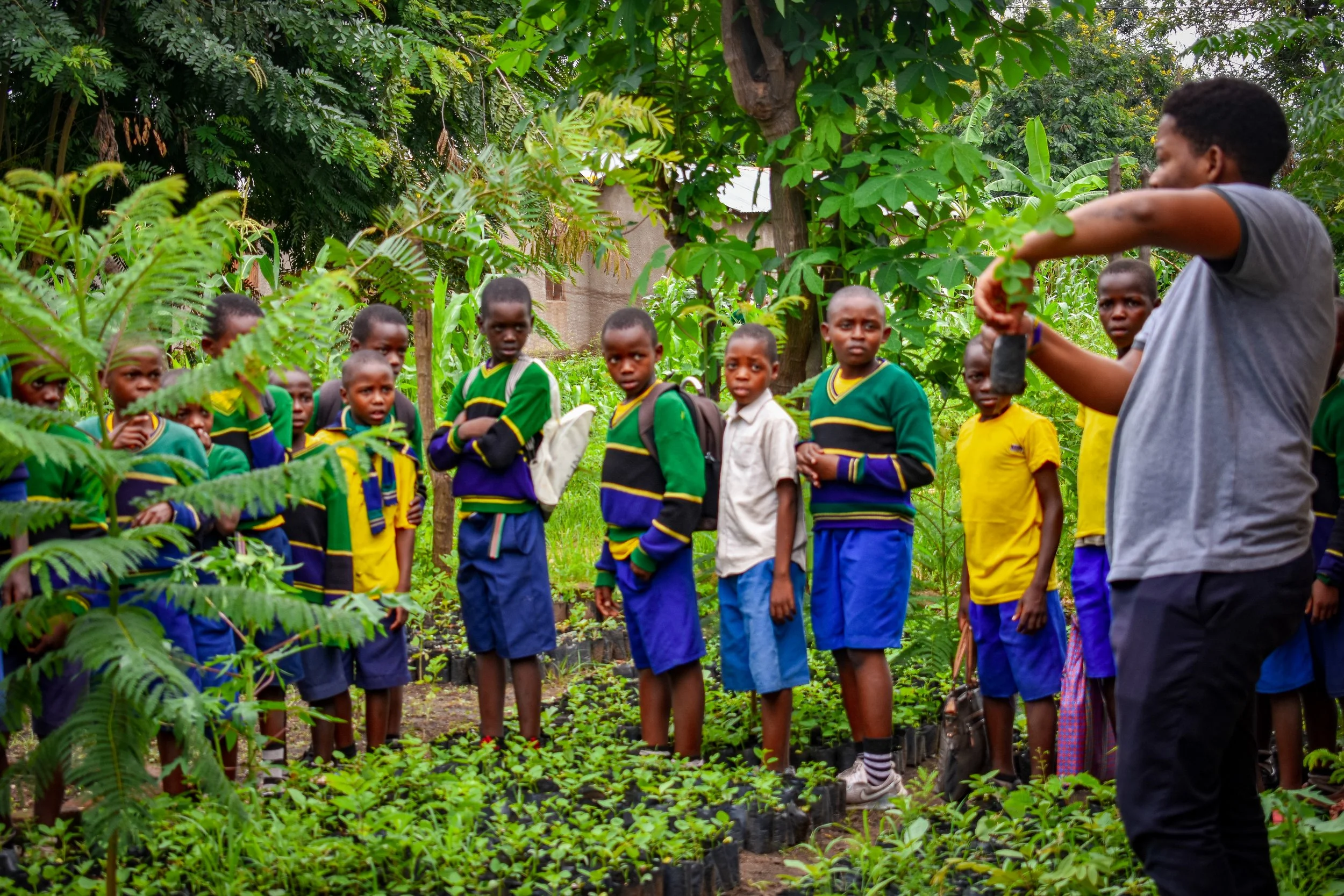 Increasing tree cover in Katavi, Tanzania — International Tree Foundation