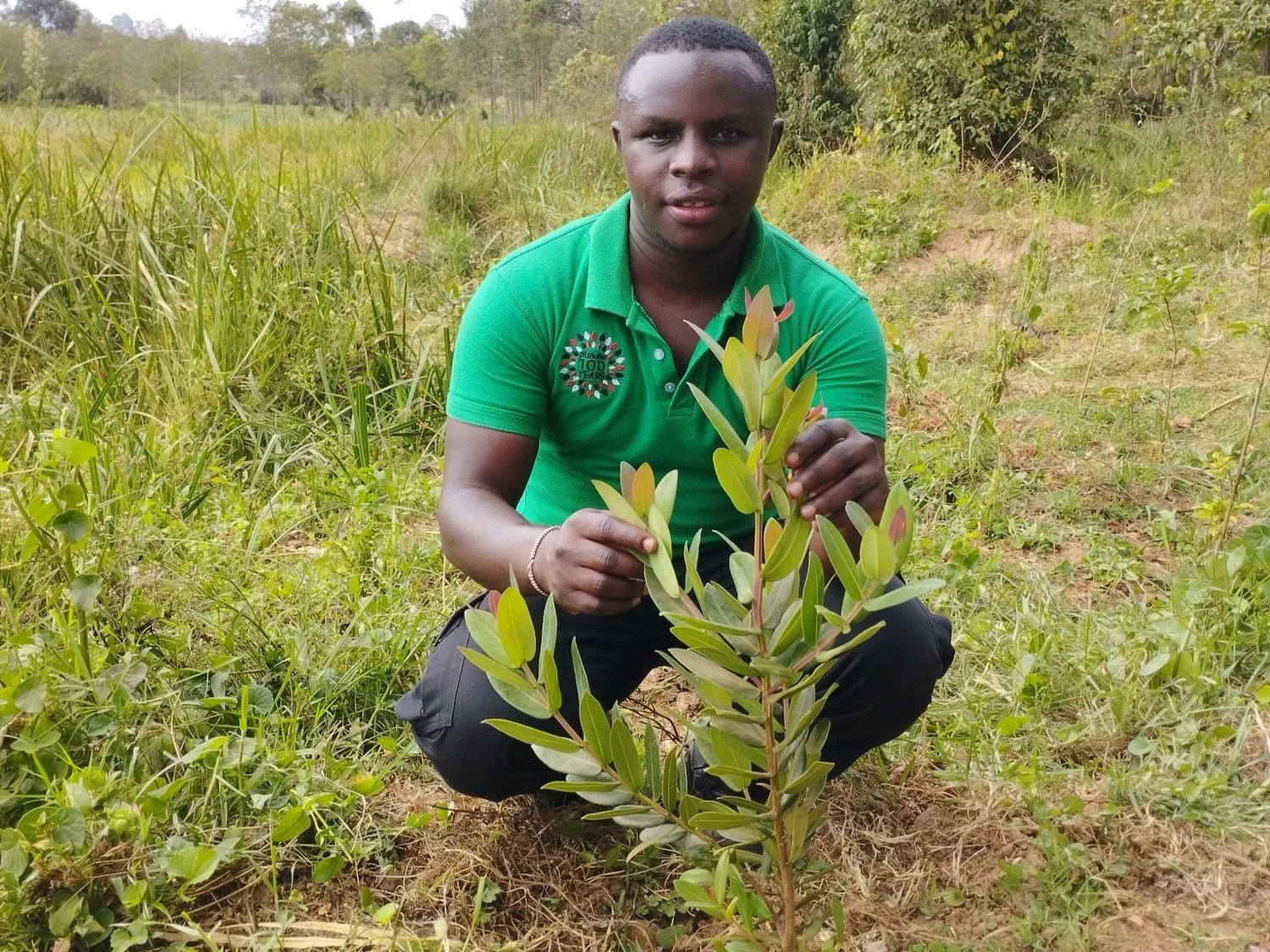 Meet Edwin Mwiti — International Tree Foundation