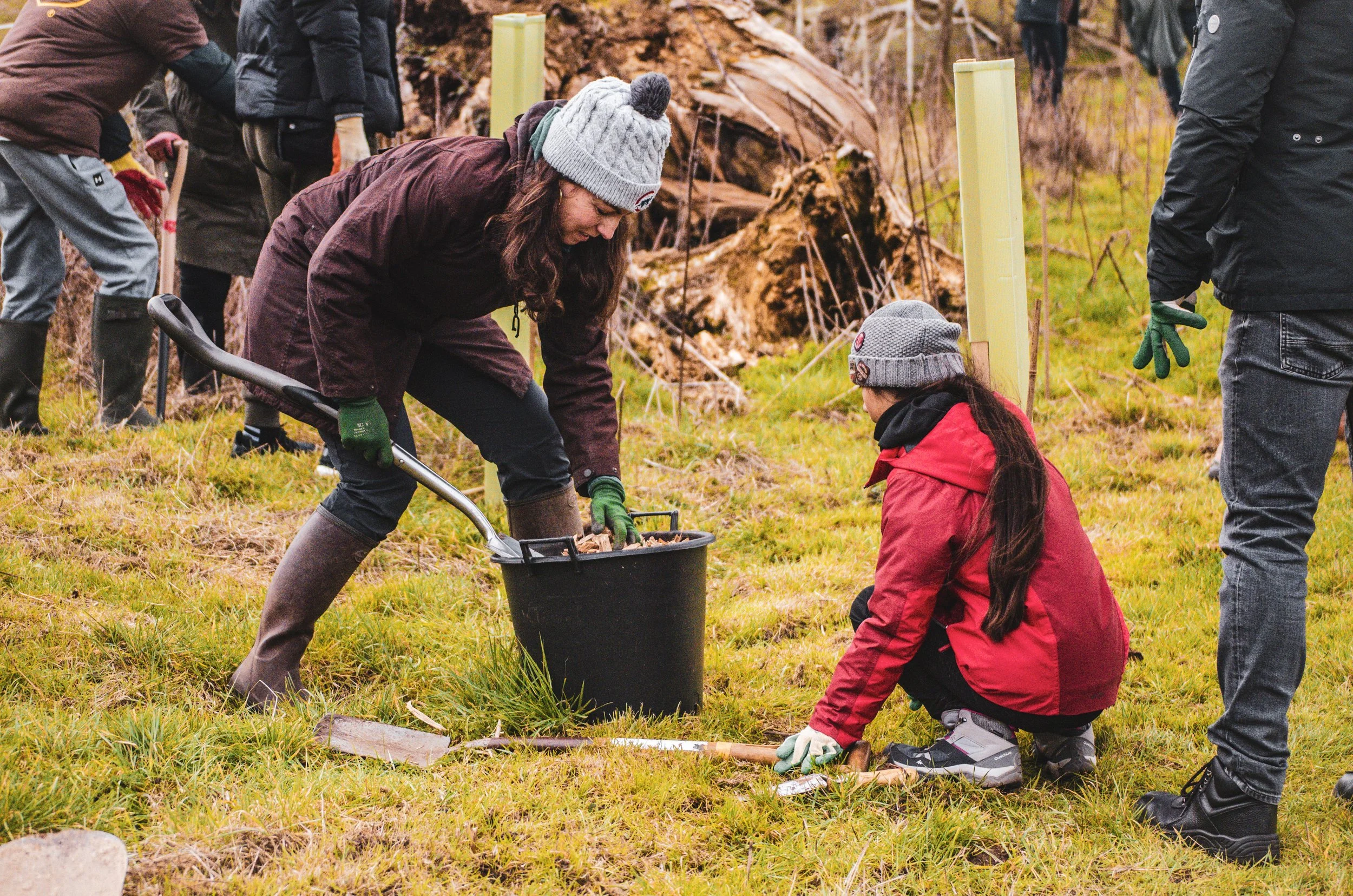 International Tree Foundation