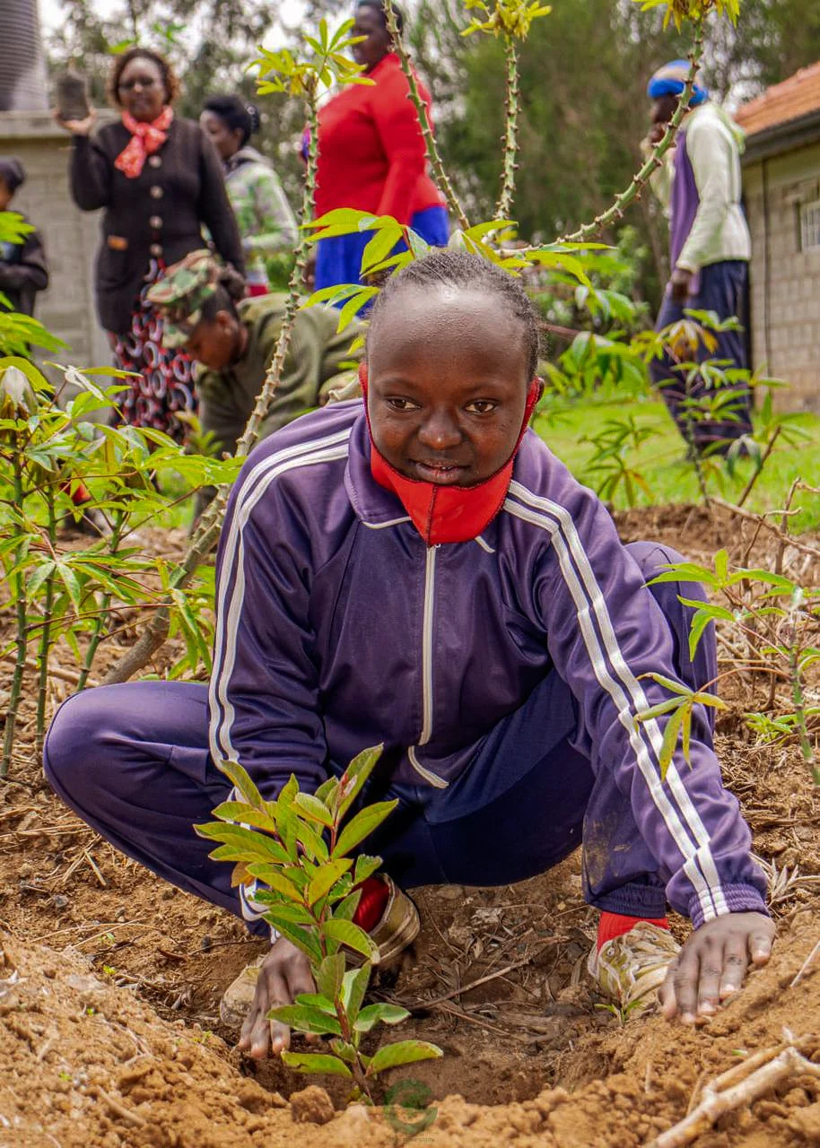 Adopt a tree — International Tree Foundation