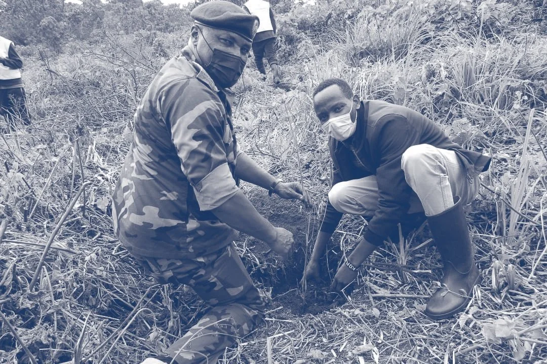 Our work — International Tree Foundation