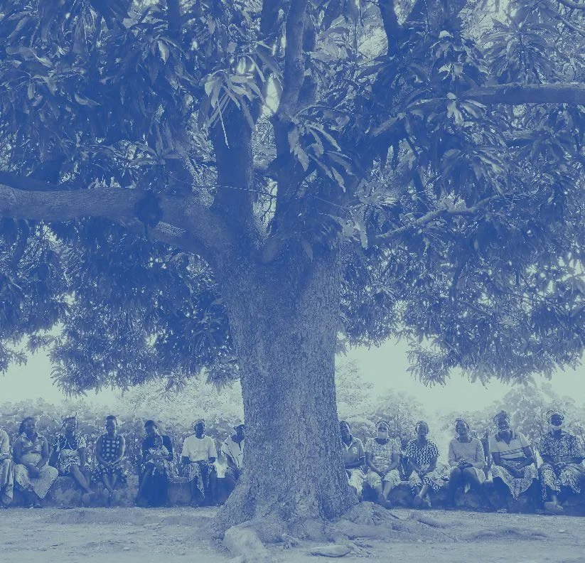 Our Work — International Tree Foundation