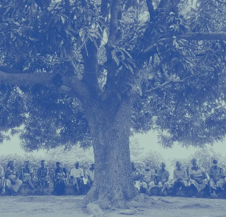 Our Work — International Tree Foundation