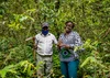 Our strategy — International Tree Foundation